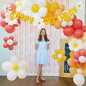 Daisy Party Decorations Set Boho Party Decorations with Happy Birthday Banner Boho Groovy Daisy Flower Balloon Garland Arch for Daisy Retro Hippie Boho Birthday Party Decorations,Groovy Party Supplies