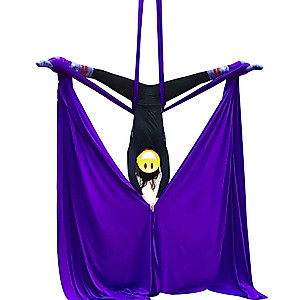 Dasking Premium Aerial Silks Equipment - Safe Deluxe Aerial Kit (Dark Purple)