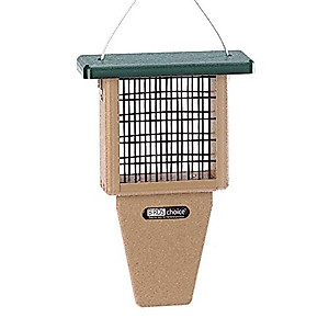 Birds Choice SNTP Recycled Single Cake Tail Prop Suet Feeder, 1 Suet Cake, 8"L X 3"W Xv12"H, Taupe Base w/ Green Roof