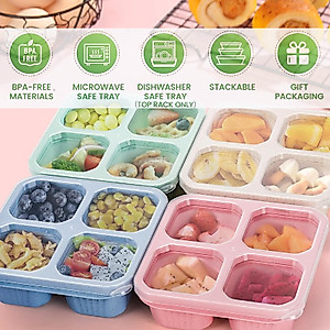 Kakating Bento Snack Boxes 4-Pack 4 Compartment Condiment Containers | Adult Lunchable Containers (4)