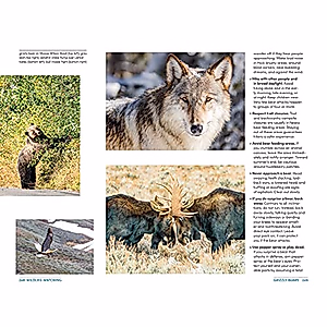 Moon Best of Yellowstone & Grand Teton: Make the Most of One to Three Days in the Parks (Travel Guide)