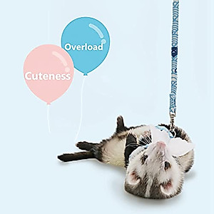 Ferret Harness and Leash - Soft Mesh Small Pet Harness with Wings and Safe Bell, No Pull Comfort Padded Vest for Ferret, Guinea Pigs, Chinchilla and Similar Small Animals (3 Pack)