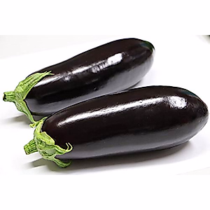 Seeds4planting - Seeds Eggplant Aubergine Long Mix Rare Thai Heirloom Vegetable Non GMO