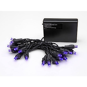 2 Packs of DecoBrite Purple 8ft (2.4m) 20 ct Battery Operated Halloween String Lights with Timer Indoor Outdoor Two Mode Functions on Black Wire for Small Spaces Wreath Room Window Decorations
