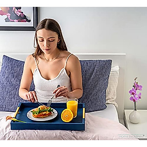 Home Redefined Modern Elegant 18”x12” Rectangle Navy Blue Rectangle Shagreen Decorative Ottoman Coffee Table Perfume Living Room Kitchen Serving Tray with Brass Gold Metal Handles for All Occasion's