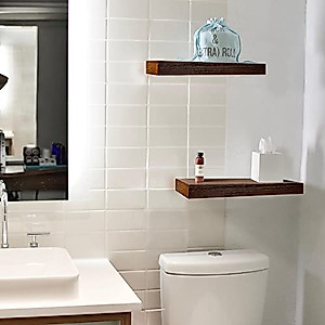 HOMESAURUS Floating Shelves Set of 2 Wall Mounted Shelves for Bedroom Decor, Bathroom Set, Living Room Decor and Kitchen Wall Shelves Decoration - Storage Shelf Rack & Display Shelves Decorations