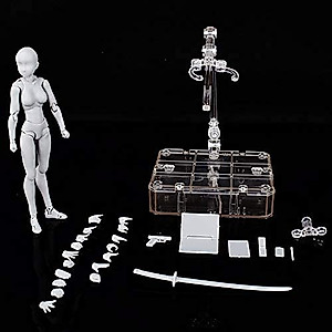 Body Kun DX Set Male Female Gray Color Body-Chan Action Figure Model Set PVC Figure Model Drawing for SHF S H Figuarts