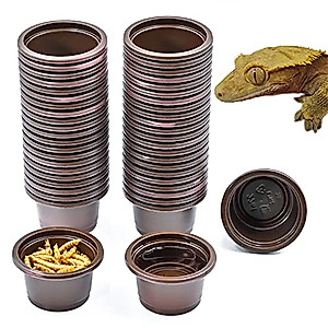 MRTIOO 0.75oz 100 pcs Crested Gecko Food and Water Feeding Cups, Reptile Feeder Bowls, for Lizard and Other Small Pet Ledge Accessories Supplies