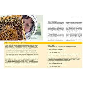 Storey's Guide to Keeping Honey Bees, 2nd Edition: Honey Production, Pollination, Health (Storey’s Guide to Raising)