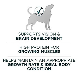 Purina ONE Plus Large Breed Puppy Food Dry Formula - 16.5 lb. Bag