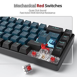 Ussixchare 65 Percent Mechanical Gaming Keyboard 68 Keys RGB Gaming Keyboard with Red Switch Wired Keyboard for Windows PS4/5 Xbox Gamers(68 Monster)
