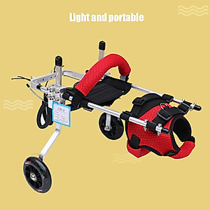 Cat Wheelchair Adjustable 2 Wheels Pet Wheelchair Lightweight Cat Barrier Wheels for Rehabilitation Aid for The Back Legs of Aging, Disabled, Injured, Arthritis, Weak Cats/Pets (M)