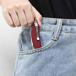 Kizer Cutlery KIV3566N4: Sway Back Button Lock Red