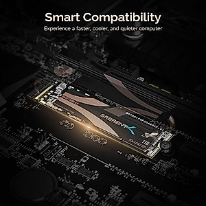SABRENT 1TB Rocket Nvme PCIe 4.0 M.2 2280 Internal SSD Maximum Performance Solid State Drive with Heatsink (Latest Version) (SB-ROCKET-NVMe4-HTSK-1TB).