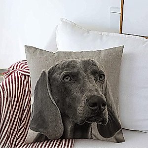 Mmordowr Decorative Throw Pillow Cover Square Pillowcase Linen Themes Weimaraner Dog No Animals Pets Wildlife Black White Away One Canine Copy Space Plain Studio Cushion Case for Sofa Car 16x16 Inch