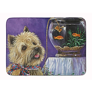 Caroline's Treasures Cairn Terrier Gone Fishing Machine Washable Memory Foam Mat doormats, Multicolor