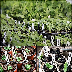 Plant Labels 300Pcs 4 Inch Plastic Plant Name Tags for Seedlings Garden Labels Markers Nursery Plant Tags Seed Labels Plant Label Stakes with Permanet Marking Pen Plant Markers for Outdoor Garden