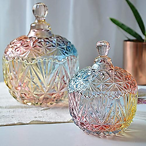 Danmu 1Pc Colorful Glass Storage Jar with Lid Candy Cookie Jar Jewelry Box Buffet Jar Biscuit Containers (750ml / 26oz)