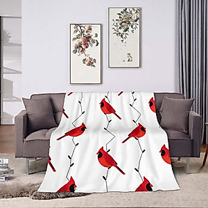 Throw Blanket 40x50 Inch,Bird Winter Graphic Flannel Soft Cozy Fluffy Throw Blankets and Warm Throws for Adults in Couch Sofa Bed 50x40 Inch
