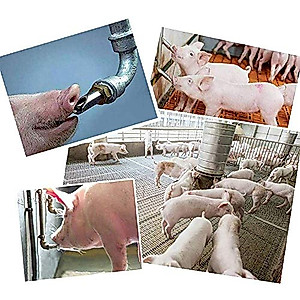 MIZORLIE Stainless Steel Pig Waterer,NPT 1/2" Automatic Pig Nipple Drinker Feeder Waterer(Pack of 5)
