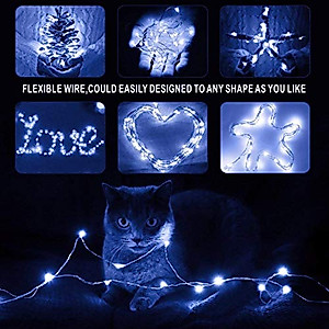 XINKAITE 30 Micro LEDs on 10Feet/3M Fairy Silver Wire Battery Operated String Lights for Wedding Party Christmas Table Decorations, Cold White