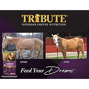 TRIBUTE Kalmbach Feeds Kalm 'N Ez Pellets for Horse, 50 lb