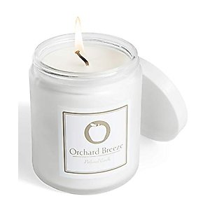 Stank Prank Candle