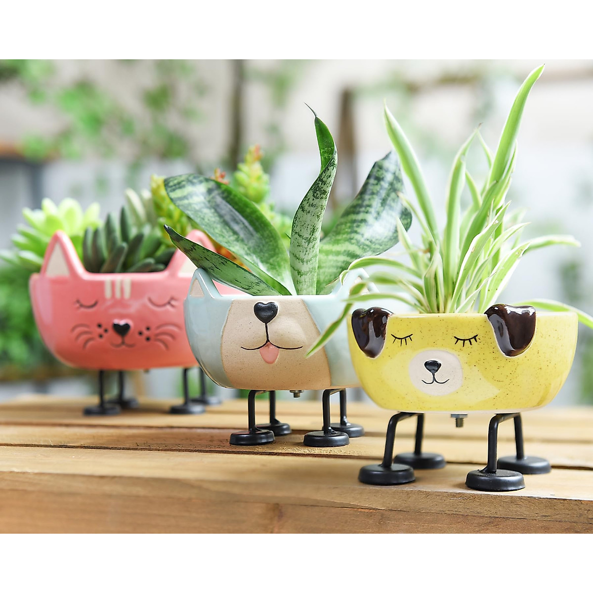 Pointnio Cute Plant Pots,Ceramic Garden Pots,Plant Gifts for Woman,Planters for Indoor Plants.Small Pots for Plant.Spring Flower Pots.Spider,Succulent Pots 6"+4.8"+4" Set of 3