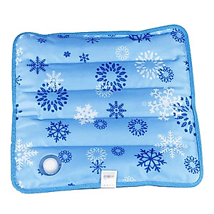 Ice Cushion Cool Ice Pillows Cushion,Water Filling Ice Cushion Chair Pad, Water Filling Ice Cushion Chair Pad,Pet Cushion,Summer Ice Pad,Beaches Cushion,Car Cushion,Office Cushion (14.17 x 14.17")