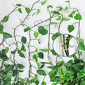 Plant Climbing Wall Fixture Clips,100Pcs Plant Fixer Self-Adhesive Hook,Garden Vegetable Plant Support Binding Clip Invisible Wall Vines,Fixture Wall Sticky Hook Fixing Clip Vines Holder (B-100 Pcs)