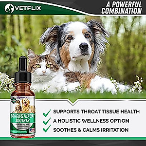 Kennel Cough Treatment for Dogs & Cats - Made in USA - Dog Allergy & Cat Asthma Relief - Mullen Leaf & Elderberry Blend - Dry, Wet & Barky Cough Relief for Dogs & Cats - All Breeds & Sizes