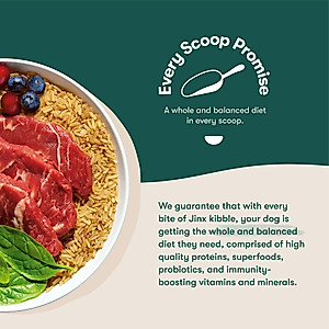 JiInx Grass-Fed Beef, Brown Rice & Sweet Potato Dry Dog Food, High Protein, 23.5 lb Bag, All Natural Ingredients, Supports Joint Health & Digestion, for Dogs of All Breeds & Ages (23.5 LBS Bag)