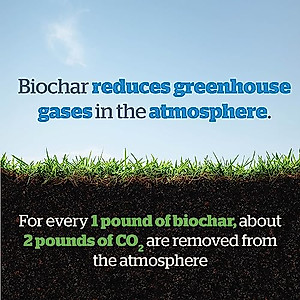 Wakefield BioChar – Premium Garden Soil Conditioner – OMRI Listed, Bio Char for Raised Gardens, Potting Mix, Lawns – 1 cu/ft (25 pounds)