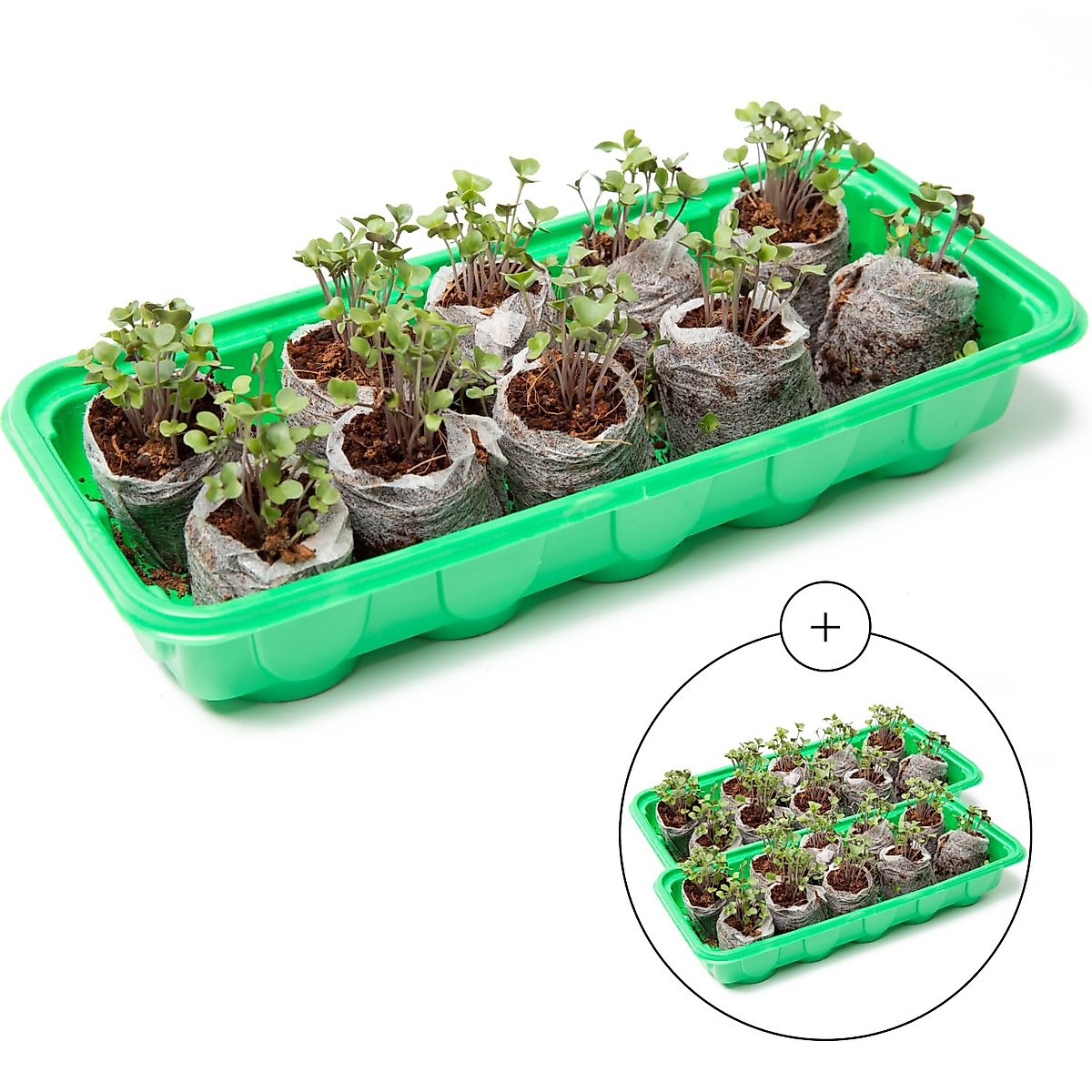 Window Garden Mini Greenhouse Seed Starter Kit – Reusable Seedling Trays - Indoor Germination Tray with Humidity Dome and Soil Pods - Windowsill Seeds Germinator - 30 Cells Starting Trays, 3 Pack