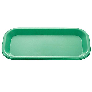 NeraNena Tray Plate 8.07" X 4.13" Rounded Smooth Edges (Green)
