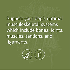 Standard Process Canine Musculoskeletal Support - Bone & Joint Health Formula for Pets - Canine Musculoskeletal Support Supplement - Supplement for Dogs to Aid Joint Comfort & Muscle Health - 30 g