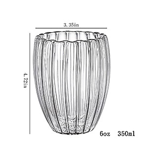 WAAOPO Double Walled Glass Coffee Mugs(5.6oz/350ml) ，Thermal Coffee Cups，Glass Cups for Tea, Coffee, Latte, Cappuccino,Pack of 2