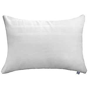 Sealy Clean Luxury 100% Cotton Zippered Encasement Stain Release Pillow Protector- King Size- 2 Pack