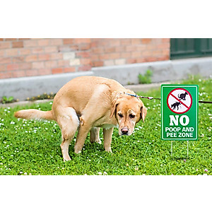 WaaHome Double Side No Poop and Pee Zone Yard Signs with Stakes, 8''X12'' No Pooping Dog Sign