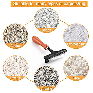 Astfys Hand Held Carpet Rake, Making Carpets Fluffy Again, Clean Hair, Let Carpet Restore Softness (Iron, Black, 2 PCS