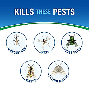 Cutter Backyard Bug Control Outdoor Fogger (6 Pack), Kills Mosquitoes, Fleas & Listed Ants, 16 fl Ounce