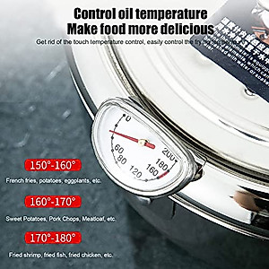 Deep Fryer Pot, Stainless Steel Deep Frying Pot, Small Deep Fryer Stainless Steel Deep Fryer Pot with Temperature Control Oil Drain for French Fries Fish Chicken(L)