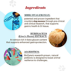 Vitalize Alimend K9 - Dog Upset Stomach Relief for Nausea, Vomiting & Diarrhea - 6 Oz