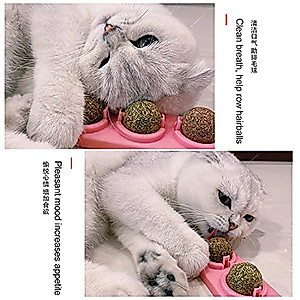Bisogoon Catnip Toys, Catnip Wall Ball Toy, Cats Catnip Edible Balls, Natural Interactive Toy, Licking Treats Toys for Cats Kitty, Catnip Wall Toys (Blue)