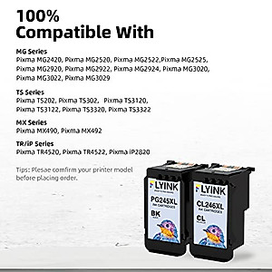 FLYINK Ink Cartridge 2 Pack for Canon 245 246 XL with Pixma MG2522 MG2525 MG2920 MX490 MX492 Printer