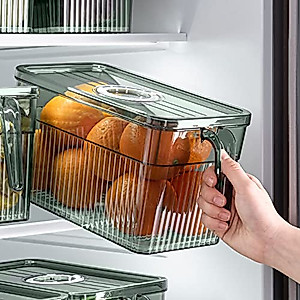 Tnfeeon Refrigerator Organizers Bins, Date Recording Fridge Organizers with Draining Board for Home for Vegetables