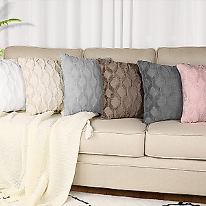 Henzxi Set of 2 Throw Pillow Covers 18x18 Inches Farmhouse Decorative, Square Boho Cushion Case with Faux Velvet Soft Plush Short Wool, Beige