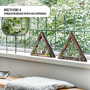 J JACKCUBE DESIGN Air Plant Triangle Frame Hanging Airplant Holder, Rustic Wood Tillandsia, Succulent Plants Display Hanger Shelf for Wall Décor, Set of 2- MK1061A