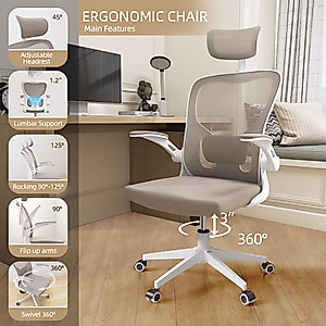 Monhey Adjustable Ergonomic Office Chair – Lumbar Support, 2D Armrests, Heavy-Duty Metal Base, Comfortable Khaki Design