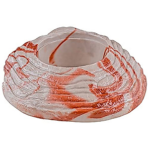 Healthy Herp Instant Meal Adult Dragon Food Variety Pack (7 x Adult Dragon Food, 4 x Fruit Mix, 3 x Vegi Mix, and 1 X Feeding Dish)